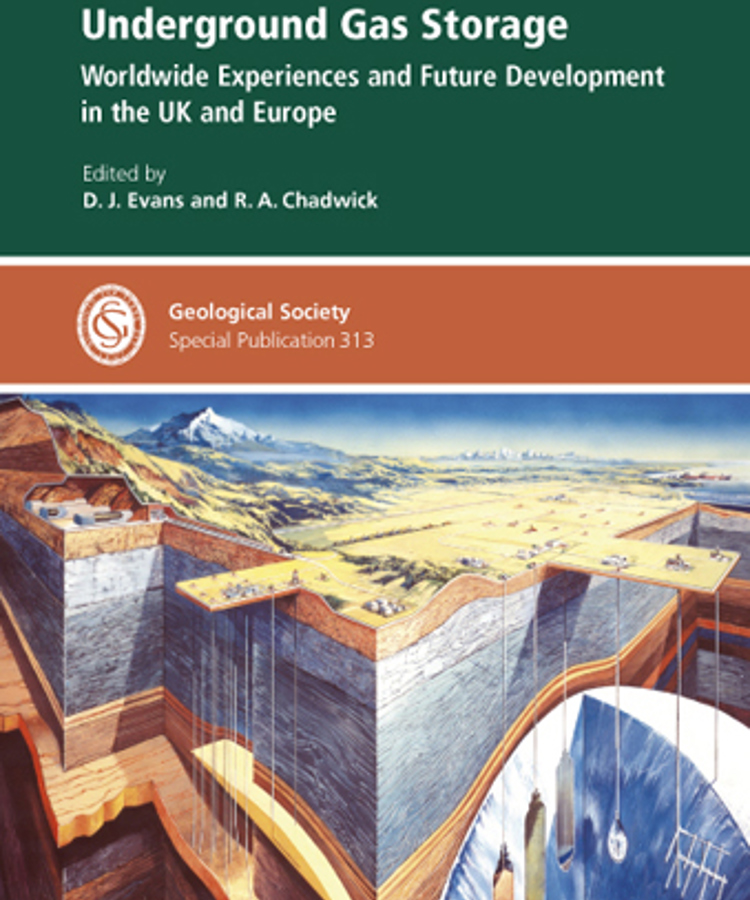 Underground Gas Storage: Worldwide Experiences and Future Development ...