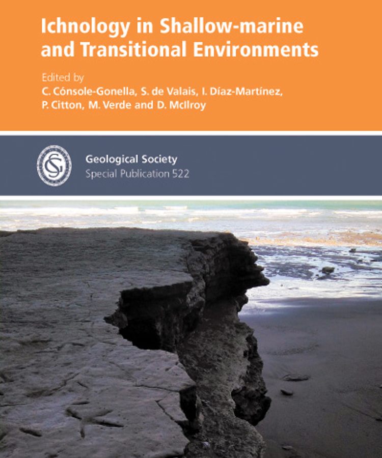 Ichnology in Shallow-marine and Transitional Environments | The ...